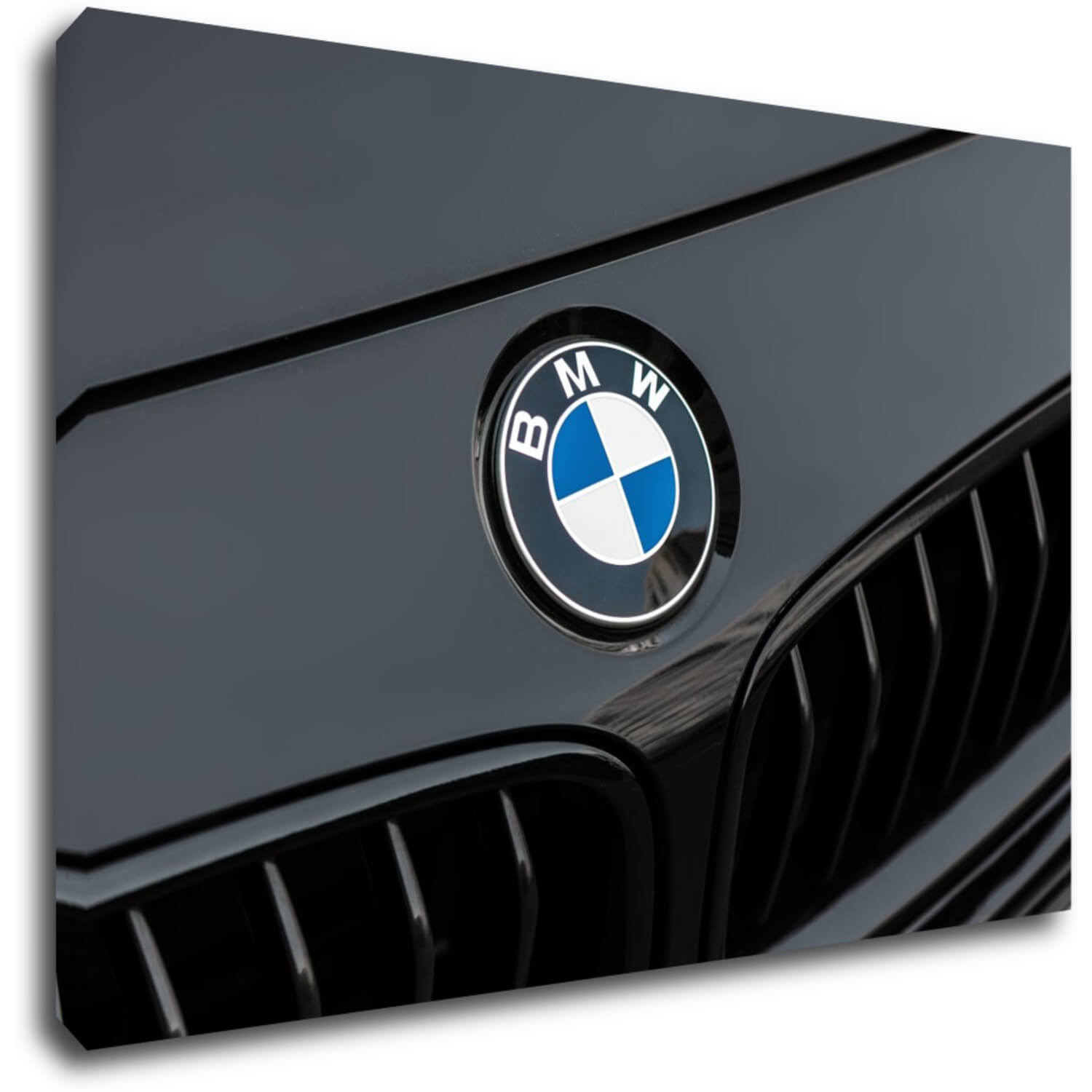 Obraz BMW znak - 60 x 40 cm | Impresi
